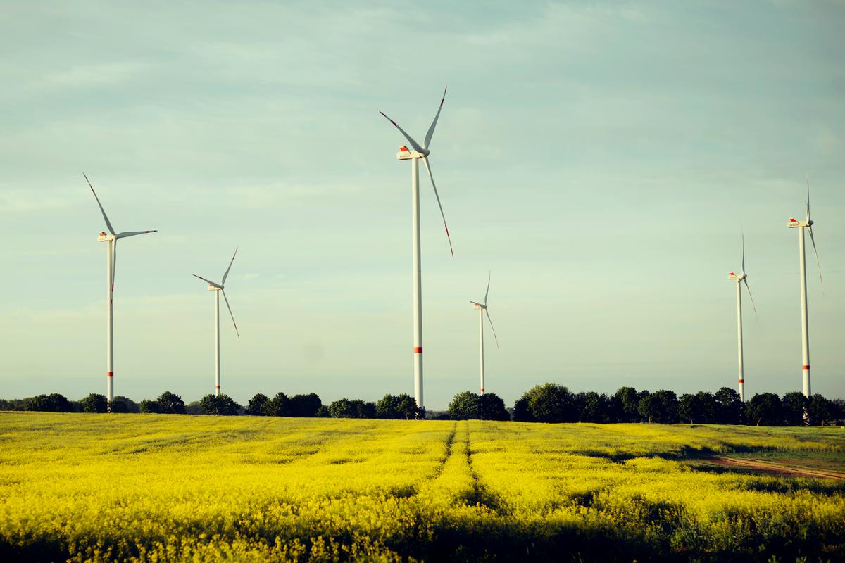 Eurowind Energy accelerates wind energy development in Romania with 138 ...