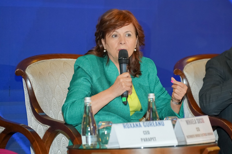 Mihaela Suciu, DEER: “Romania must accelerate grid modernization to ...